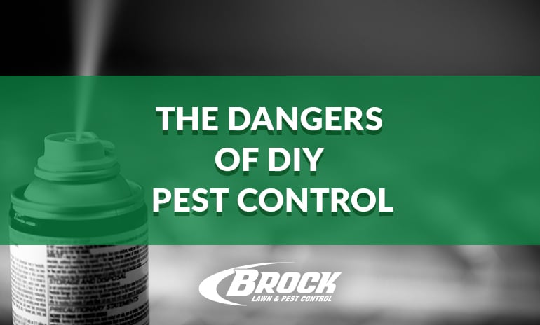 The Dangers of DIY Pest Control - Why Hiring Pest Professionals Matters ...